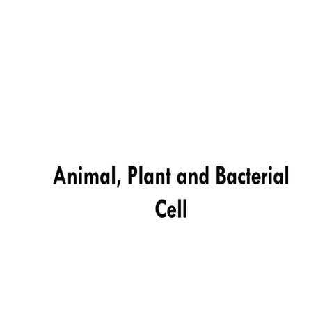 plants, animals, and bacteria for students pptx | PPTX