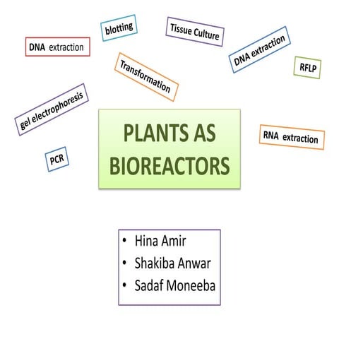 Plants as bioreactor | PPT