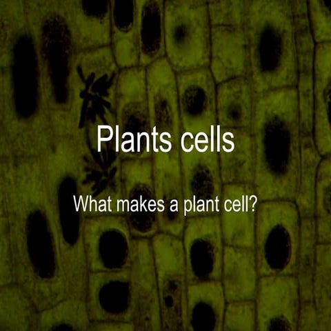 Plants cells | PPTX