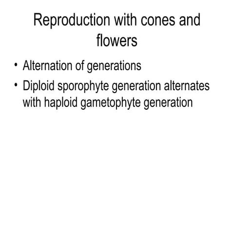 Angiosperm and Gymnosperm presentation.ppt