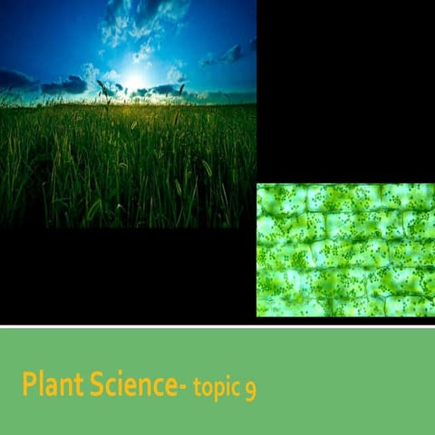 Plant Science part 1 | PPT | Gardening | Home & Garden