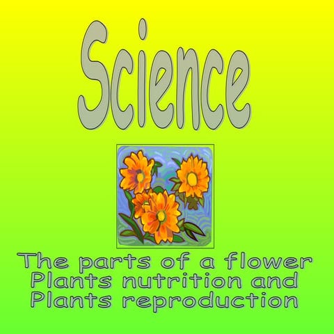 Plants classification | PPT