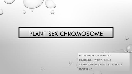 Sex Determination In Papaya Ppt