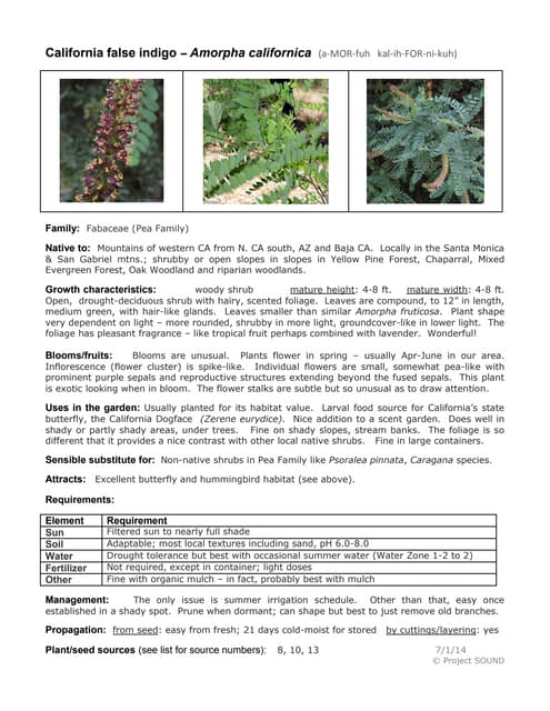 Plant info sheets mar2013 | PDF