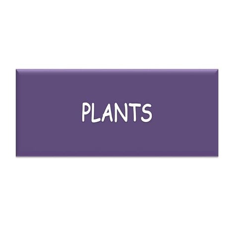 Plants introduction | PPT