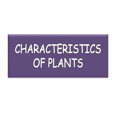 Plants introduction, characteristics of plants | PPT