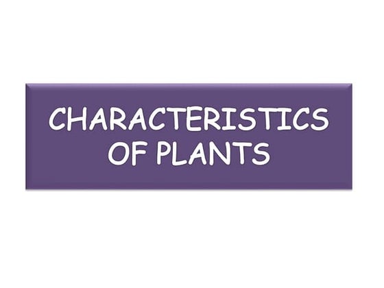 Plants introduction | PPT