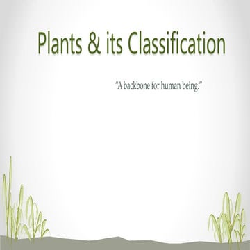 Plants & its classification | PPTX