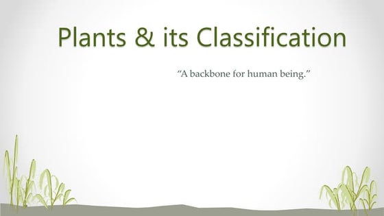 Classification of plants | PPT
