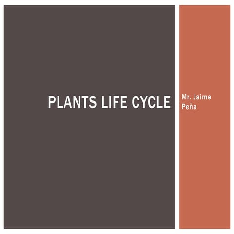 Plants life cycle | PPT
