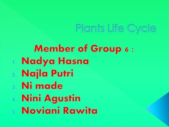 Plants life cycles1 | PPTX