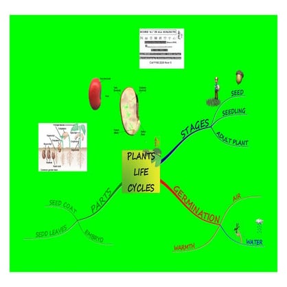 Md8 plants | PDF
