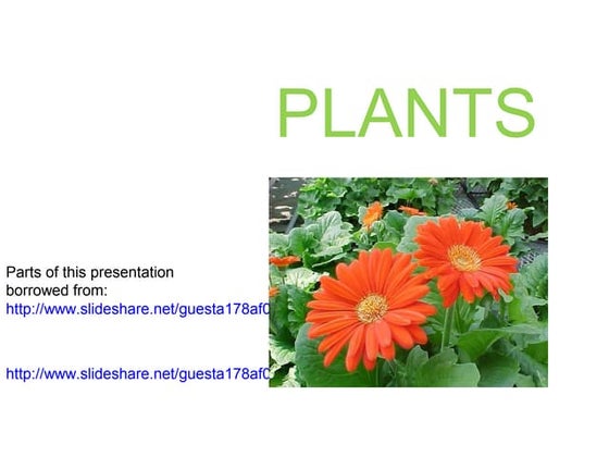 Plants | PPT