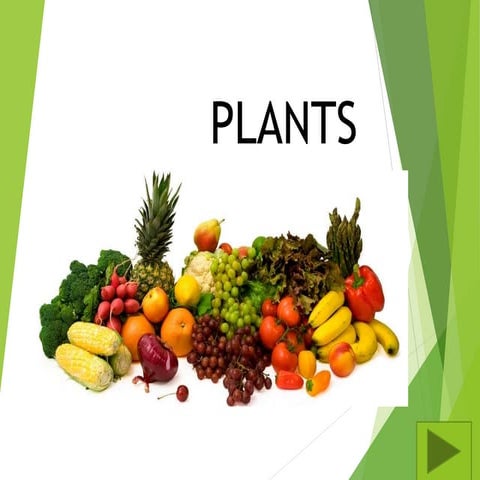 Plants powerpoint lesson | PPTX