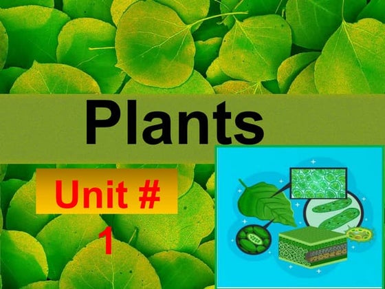 Powerpoint plant parts for science gr 5 | PPT