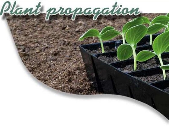 Sowing methods, seed planters - its components and functions | PPT