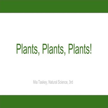 Plants review 3rd grade | PPTX