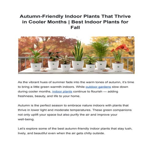 Autumn-Friendly Indoor Plants That Thrive in Cooler Months | Best ...