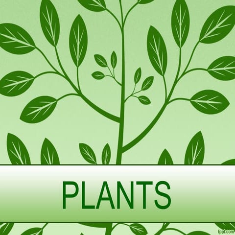 PLANTS COMPONENTS AND STRUCTURES IN BIOLOGY | PPT