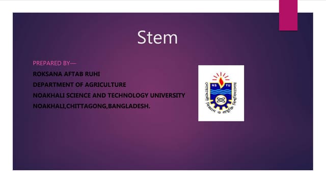 Stem Functions And its modifications | PPTX