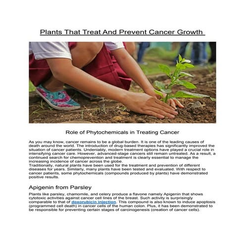 Plants that treat and prevent cancer growth | PDF