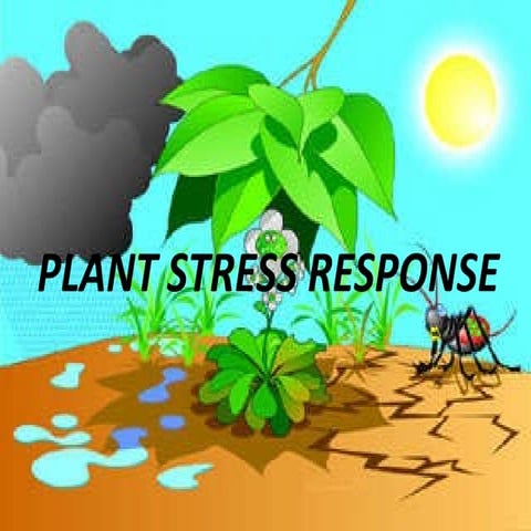 Plant stress responses | PPT