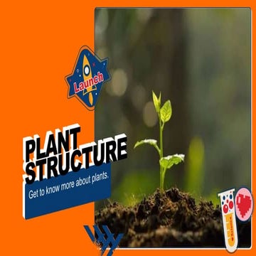 PLANT STRUCTURE GET TO KNOW MORE .pptx