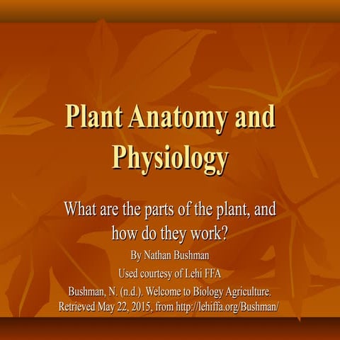 Plant structure and function powerpoint | PPT