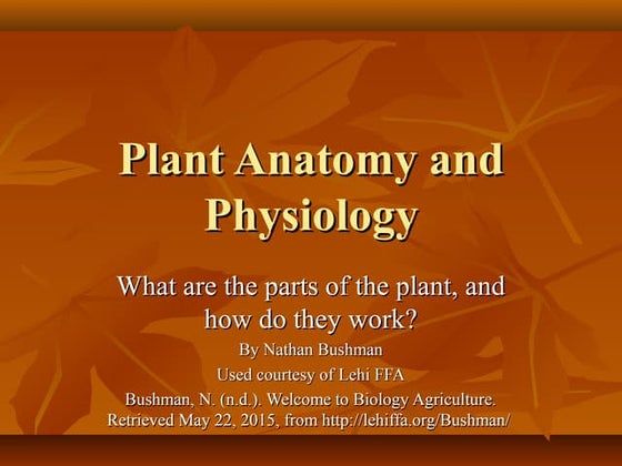 Parts of the plant and their functions | PPT | Gardening | Home & Garden