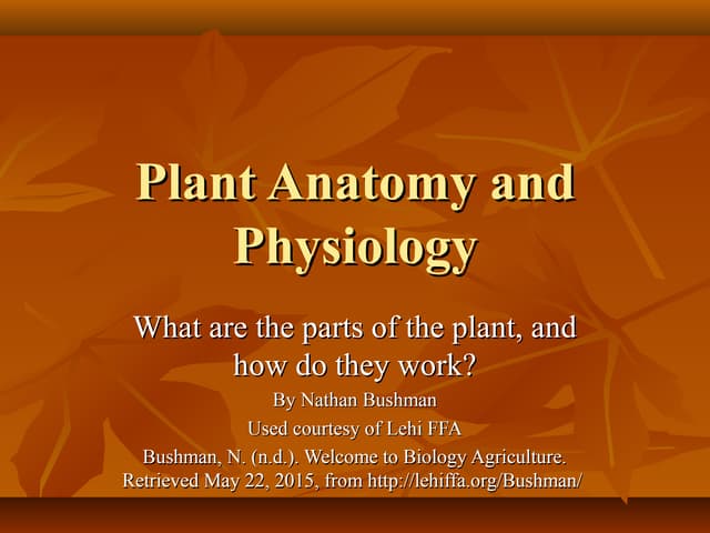 Plant structure and function powerpoint | PPT | Gardening | Home & Garden