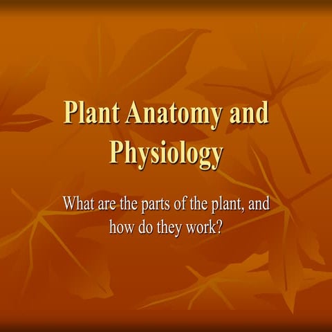 Plant Structure and Function.ppt