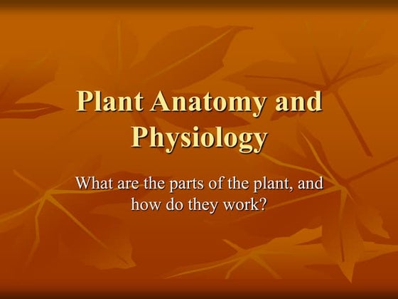 Second Grade Science: Plants | PPT