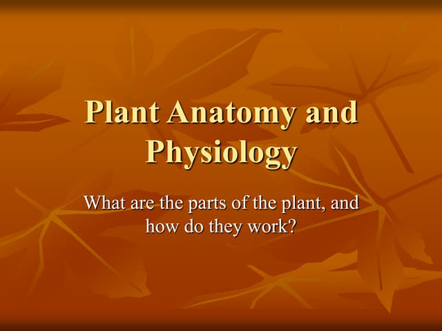 Plant structure and function powerpoint | PPT | Gardening | Home & Garden