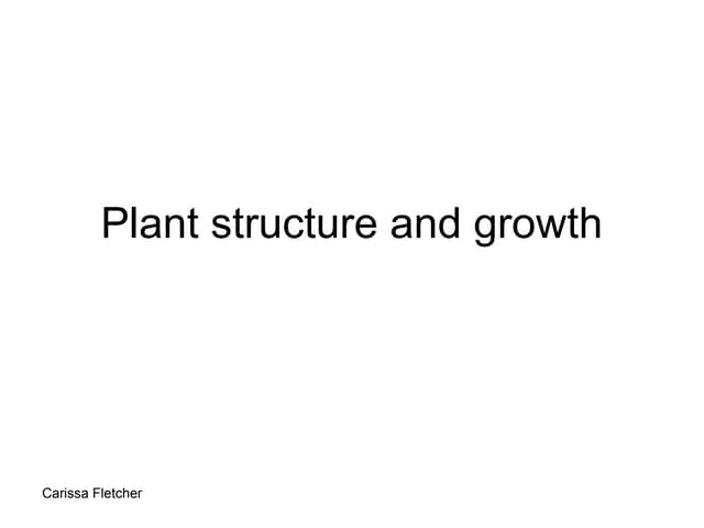 Nodal anatomy, Leaf development & Phyllotaxy | PPTX