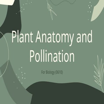 Plant Structure and Pollination IGCSE level.pptx