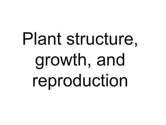 Plants | PPT