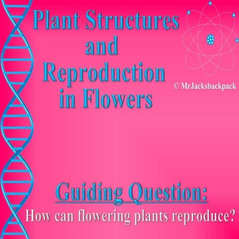 Plant_Structures_and_Flower_Reproduction_PPT.pptx