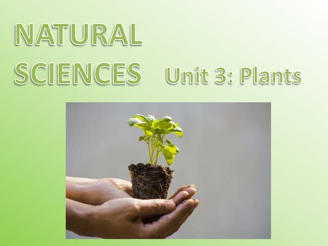 plants needs and plants parts chapter3.grade 3 | PPTX
