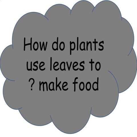 Plants use leaves to make food | PPT