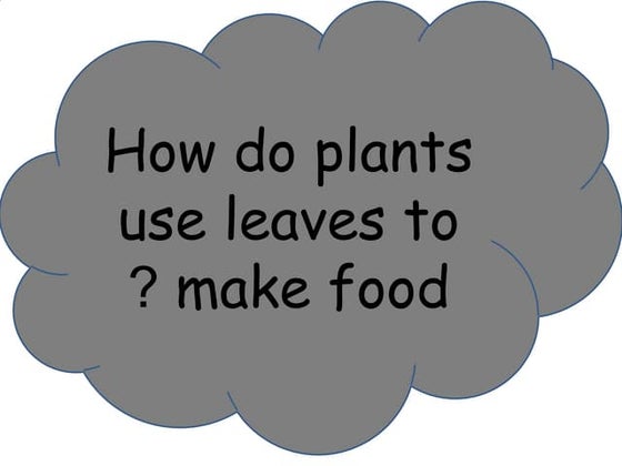 Plants 3rd grade | PPT