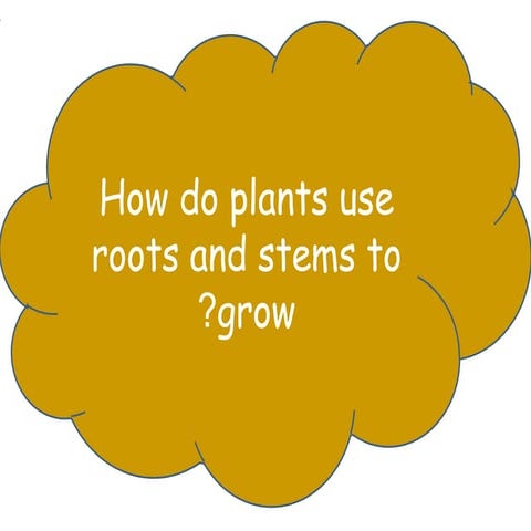Plants 3rd grade | PPTX