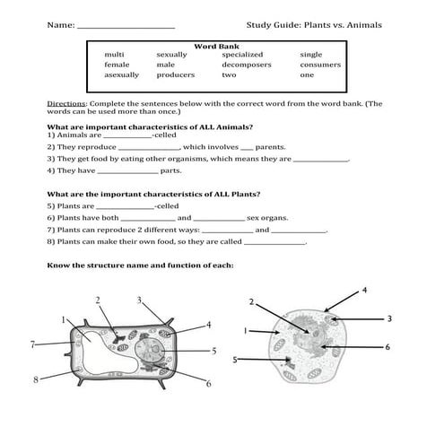 Plants vs. animals study guide | PDF