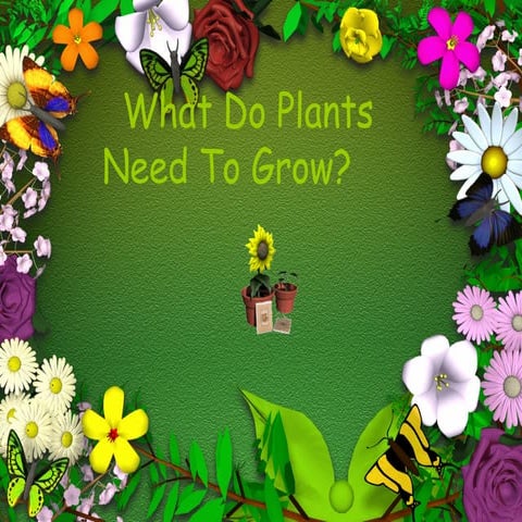 what do plants need to grow | PPT