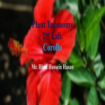 plant taxonomy (Corolla) .pptx