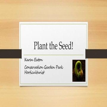 Plant the seed! Vegetable Gardening | PPTX
