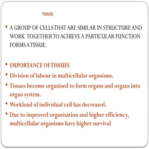 Tissues Class 9 ppt | PPTX