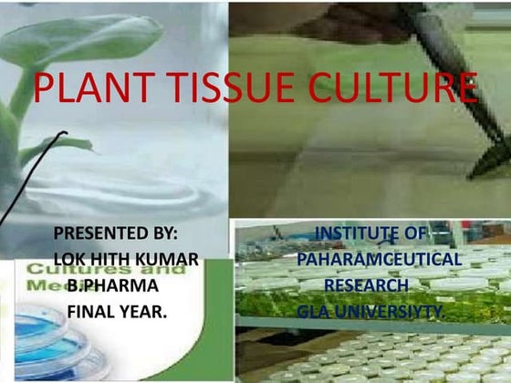 Plant Tissue Culture Technique and its applications | PPTX