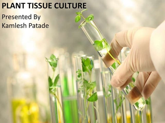 Plant tissue culture | PPTX | Biotech and Biomedical Industry | Industries