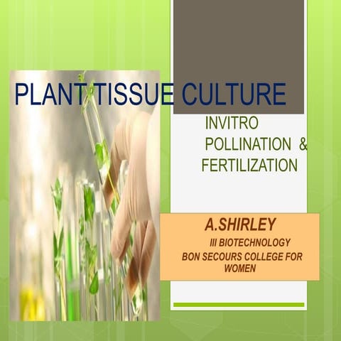 Plant tissue culture | PPTX