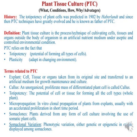 Plant tissue culture | PPTX